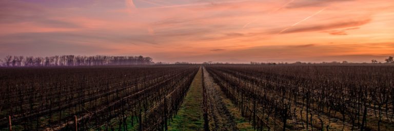 Come get some (share of this common-pool resource)! - part 1